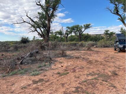 iOverlander | Comb Wash Campsite Arch Canyon